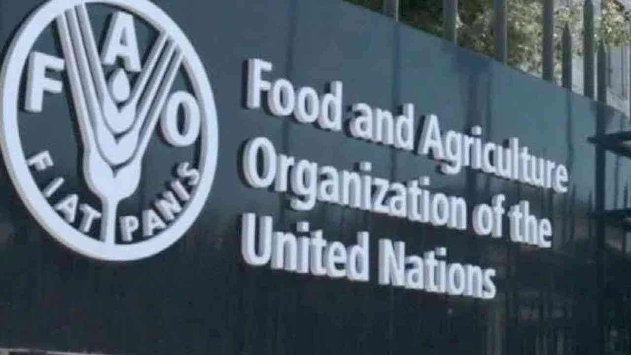 FAO Launches Fully Funded Online Agriculture Courses with Certificates ...